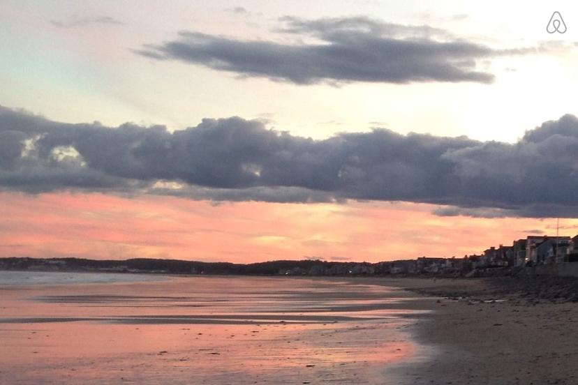 Pet Friendly Vacation Rentals In Wells ME BringFido pet-friendly-vacation-rentals-in-wells-me-bringfido