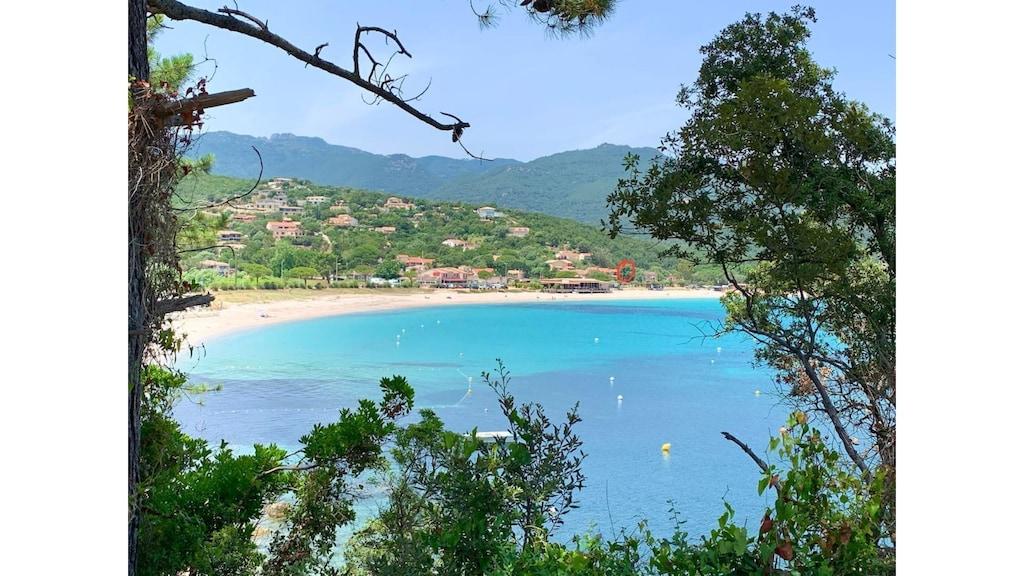 Mini Seaside Villa Pet Policy