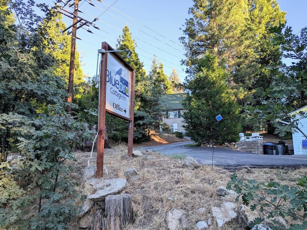 Bluebird Cottage Inn Pet Policy