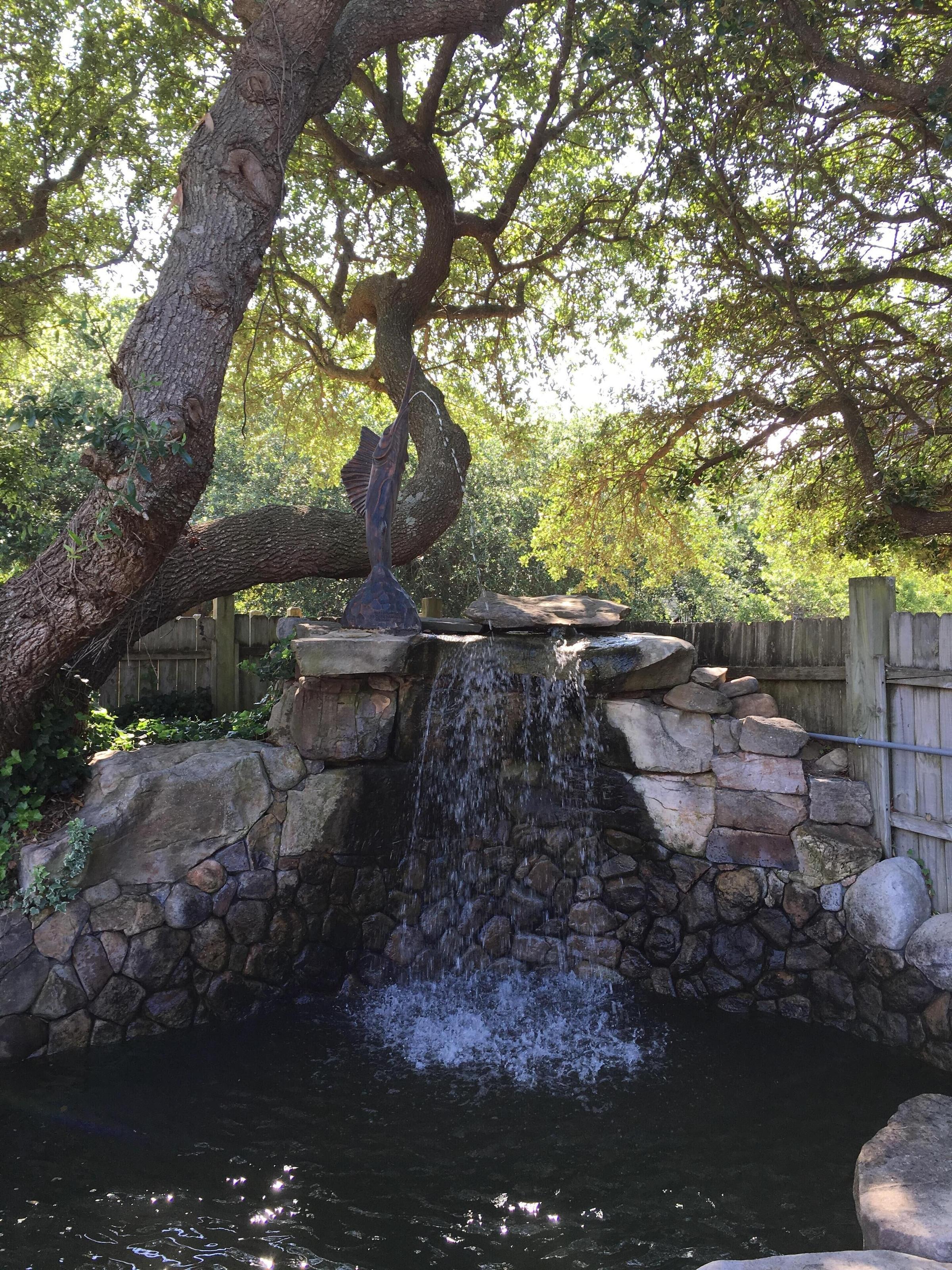 Just Enuff Pet Policy