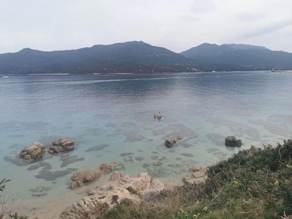 2BR Propriano Villa Pet Policy