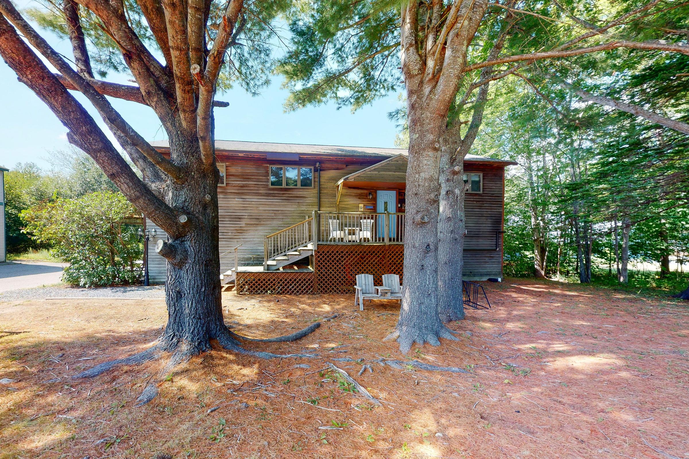 Cute Cottage with Fast Wifi & Full Kitchen Pet Policy