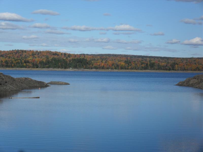 Allagash Gateway Campground & Cabins Pet Policy