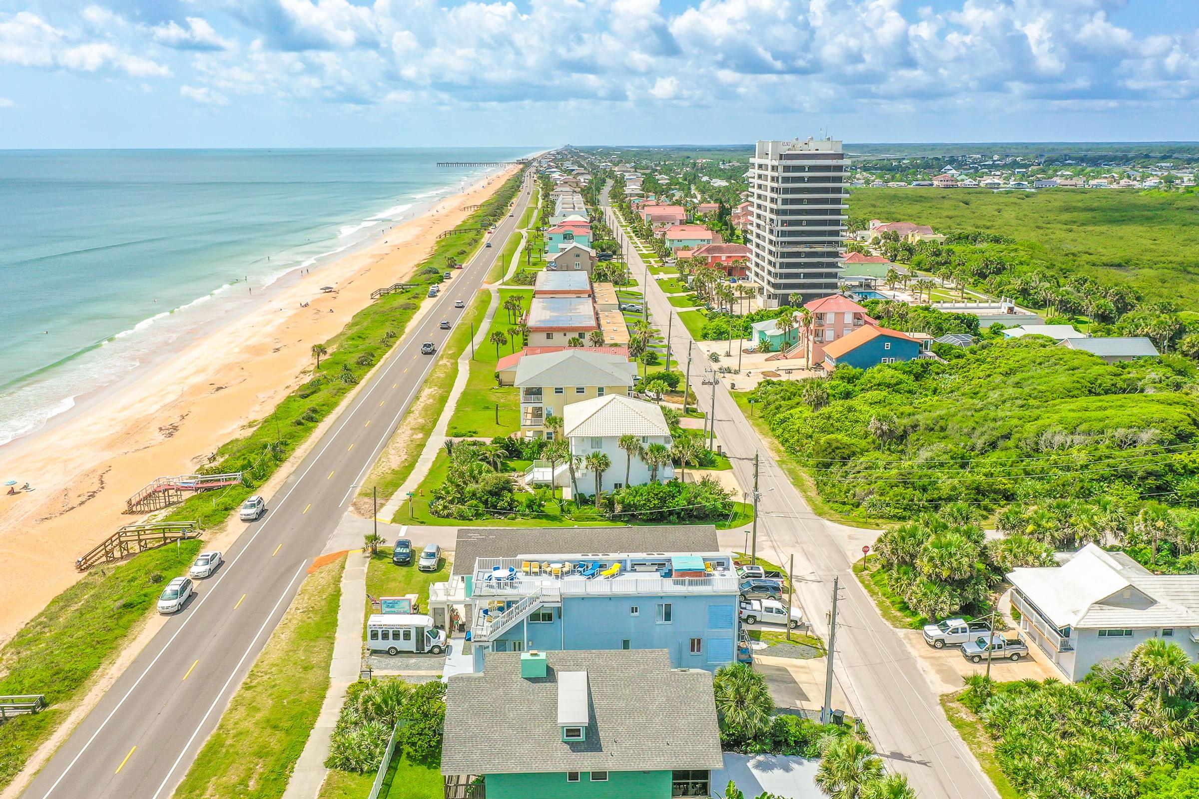 Sandy Toes A Pet Policy