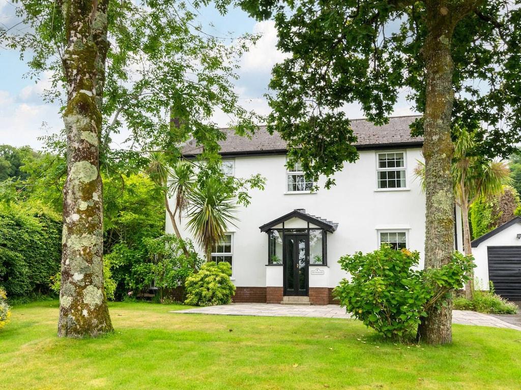 Netherend in the Beautiful Swansea Pet Policy