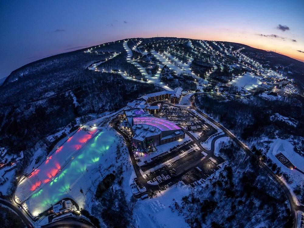 Camelback Resort Pet Policy