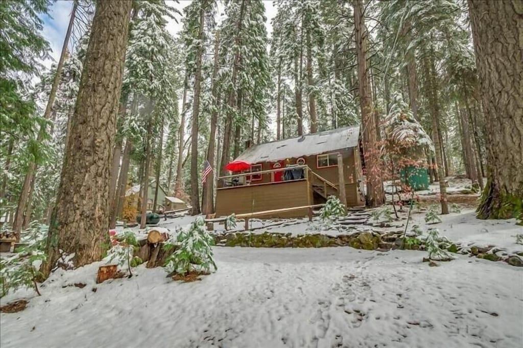 Knotty by Nature in Camp Connell Pet Policy