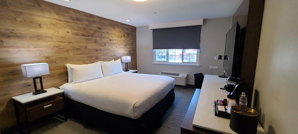 The Row Hotel BW Signature Collection Pet Policy