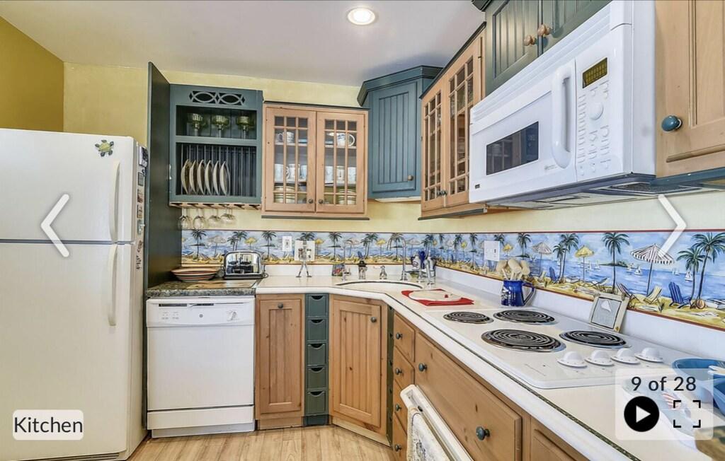 Sandy Toes Pet Policy