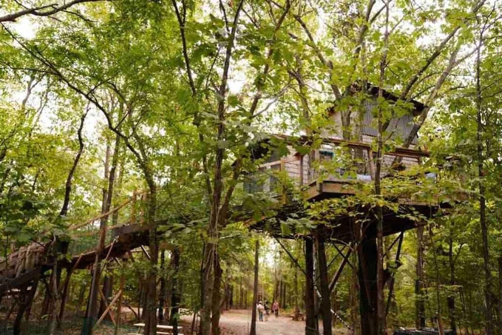 Bigfoot’s Enchanting Treehouse Pet Policy