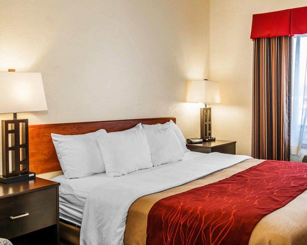 Comfort Inn Avon-Indianapolis West Pet Policy