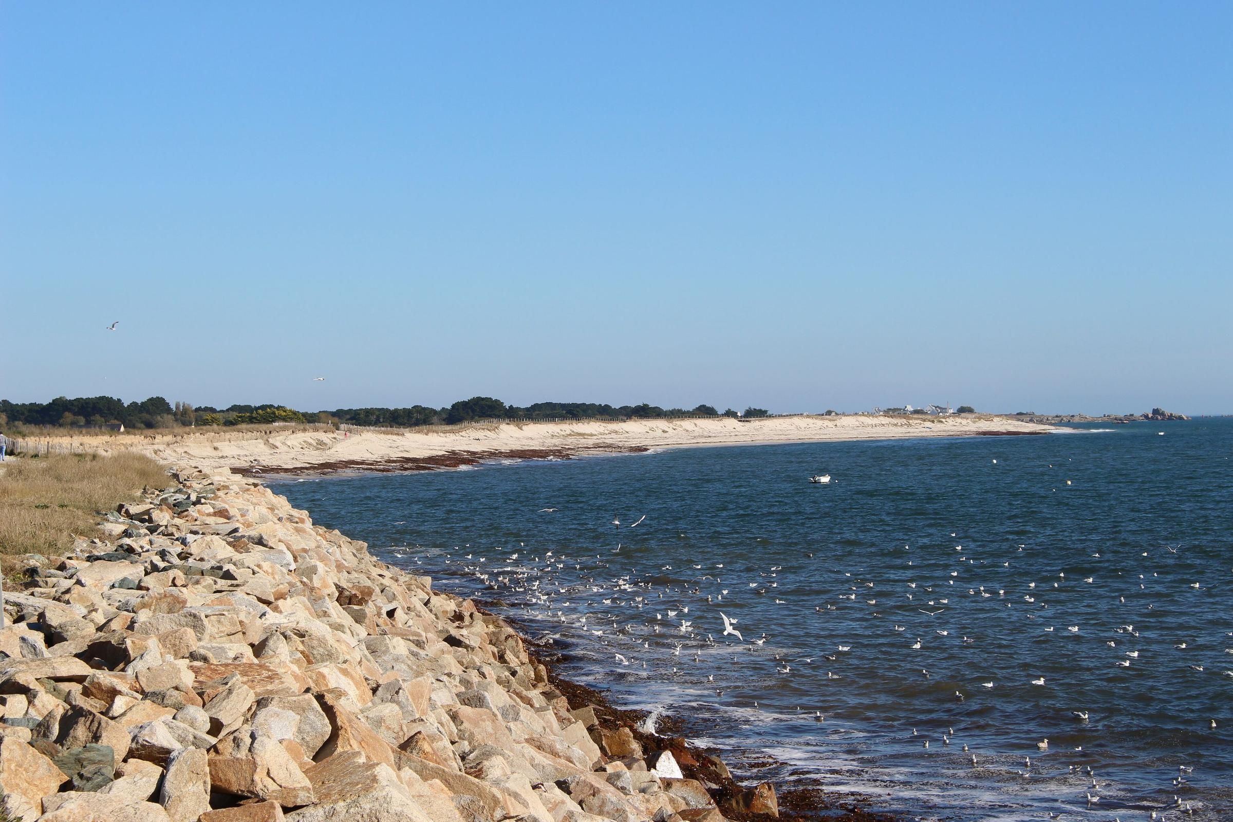 4BR House Close to Beach & Port of Guilvinec Pet Policy