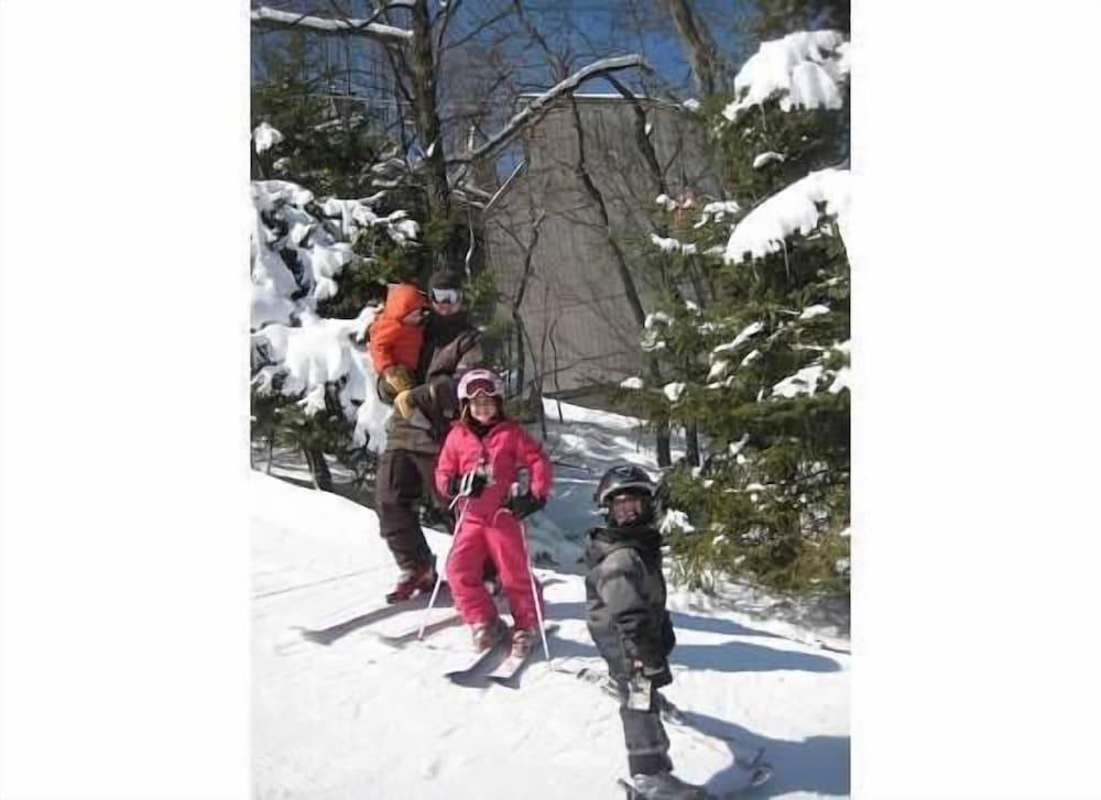 The Village at Camelback Pet Policy