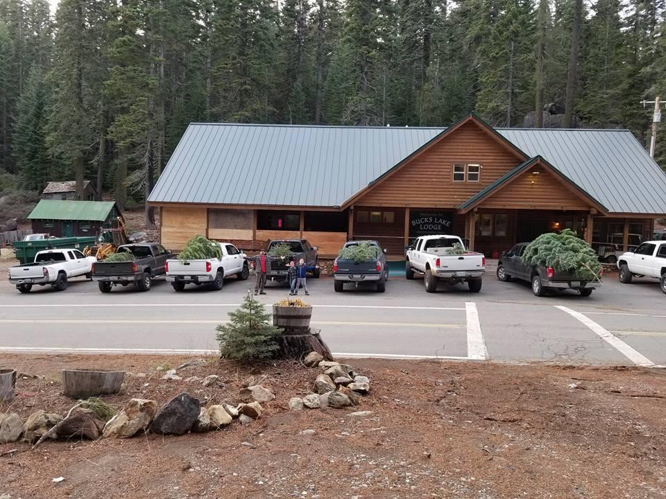 Bucks Lake Lodge Pet Policy