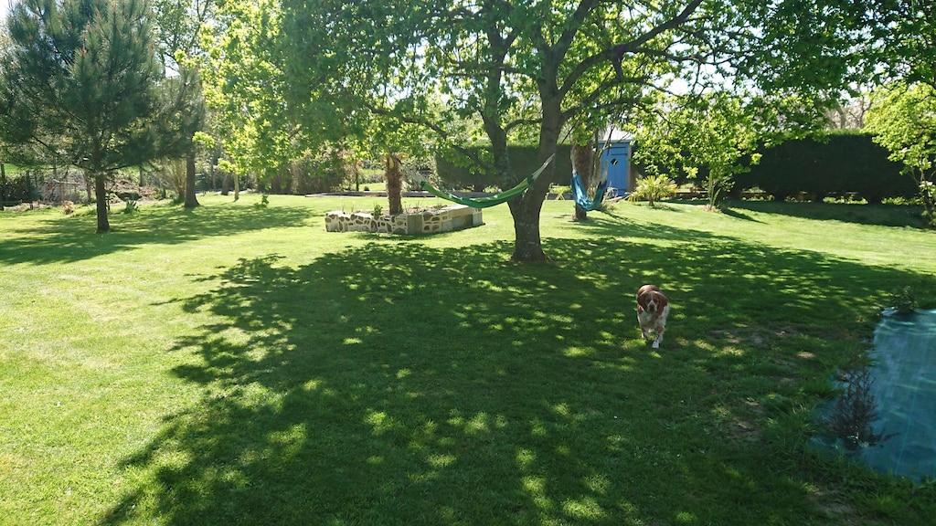 Les Gîtes de La Ville Aube Pet Policy