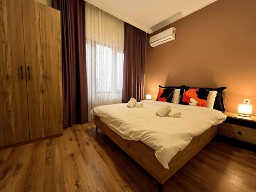 ComeLiveGO Cihangir 21 Pet Policy