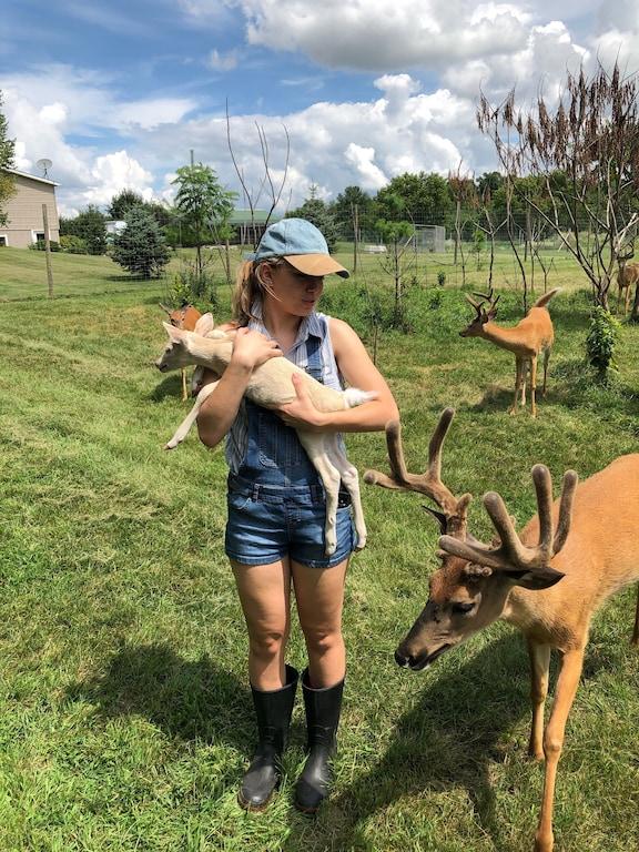 Rustic Retreat Cabin & Deer Park Pet Policy