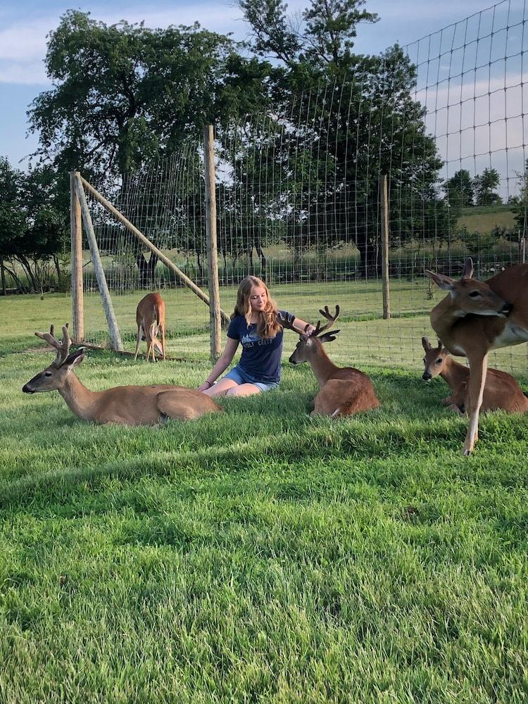 Rustic Retreat Cabin & Deer Park Pet Policy