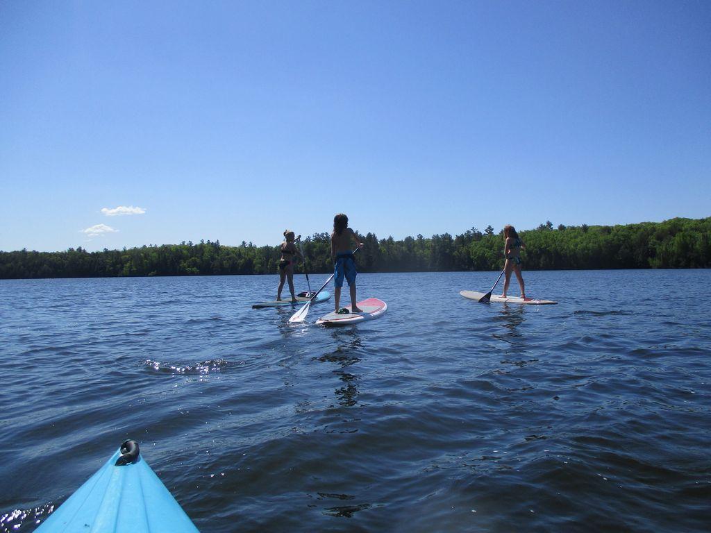 Mann Lake Cottage Pet Policy