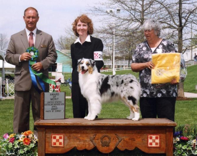 BringFido to AKC ALL BREED DOG SHOW