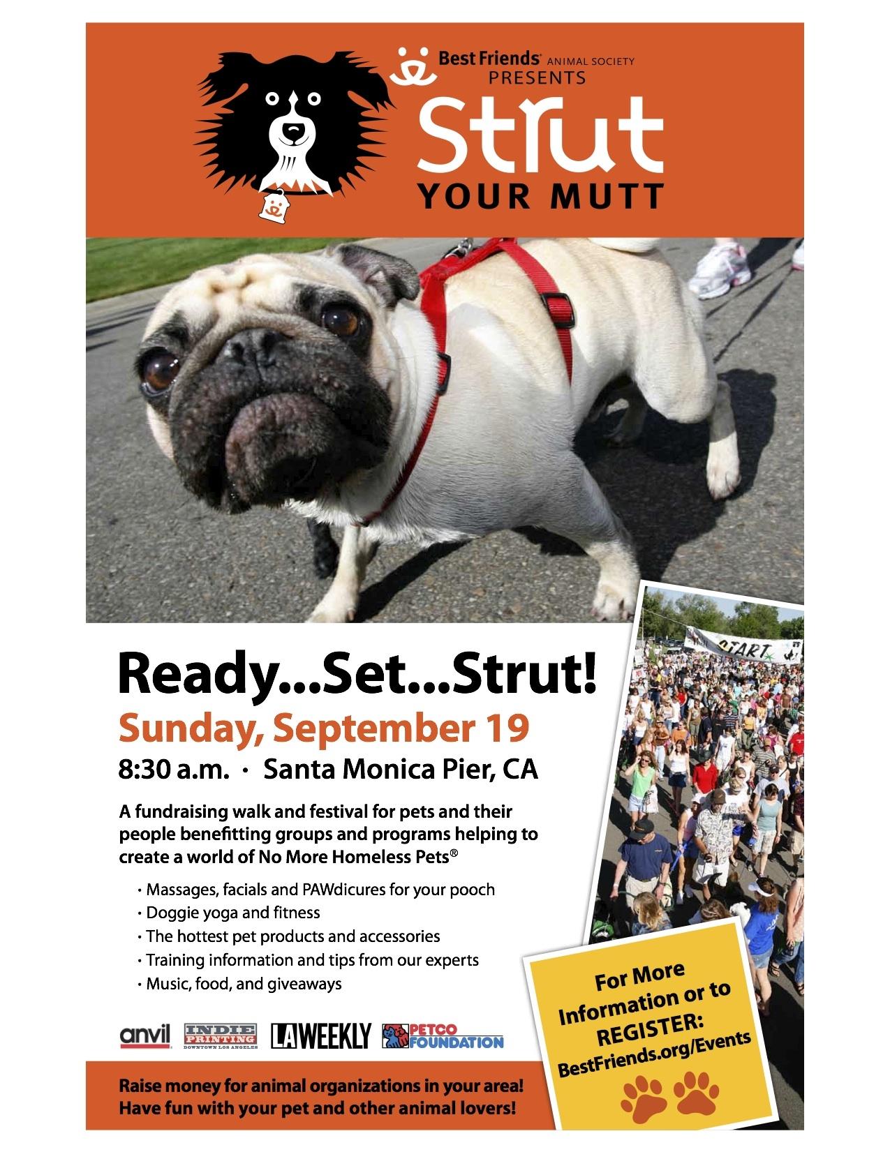 STRUT YOUR MUTT!