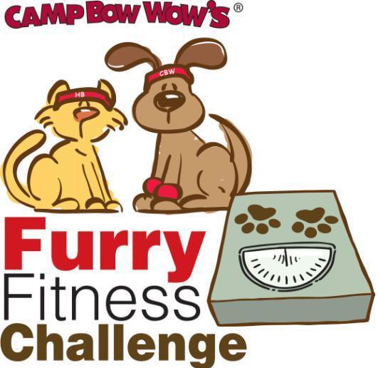 Furry Fitness Challenge