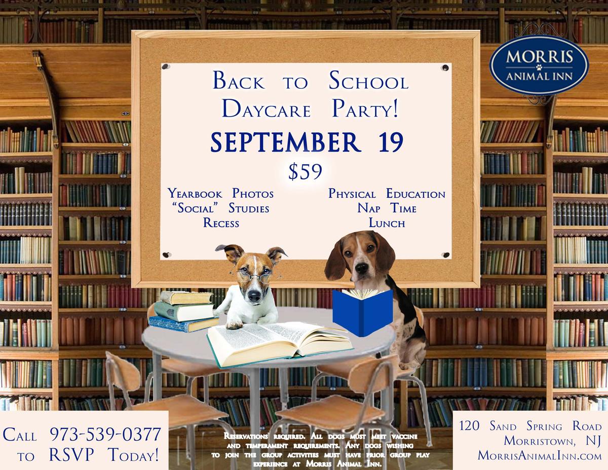 Back To School Dog Daycare Party
