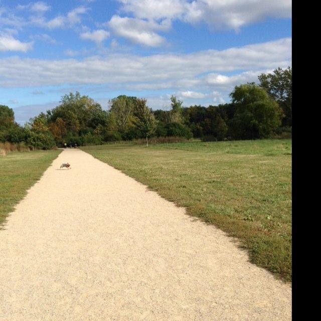 Prairie Wolf Dog Park