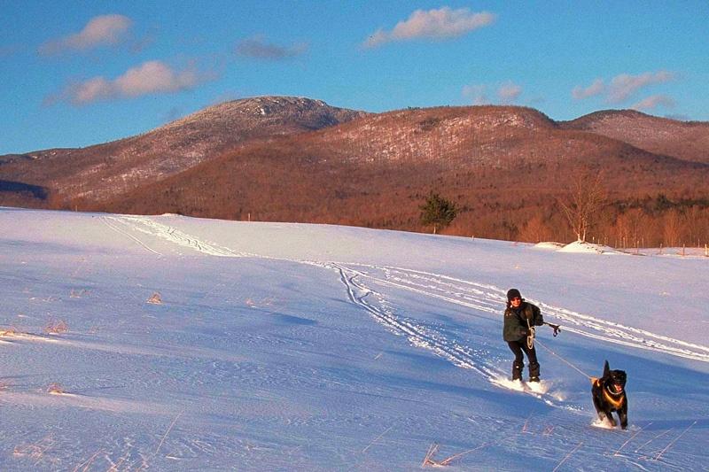 Pet Friendly Campgrounds in Quebec - BringFido