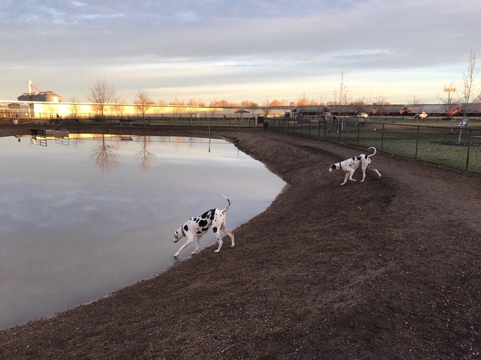Nampa Dog Park