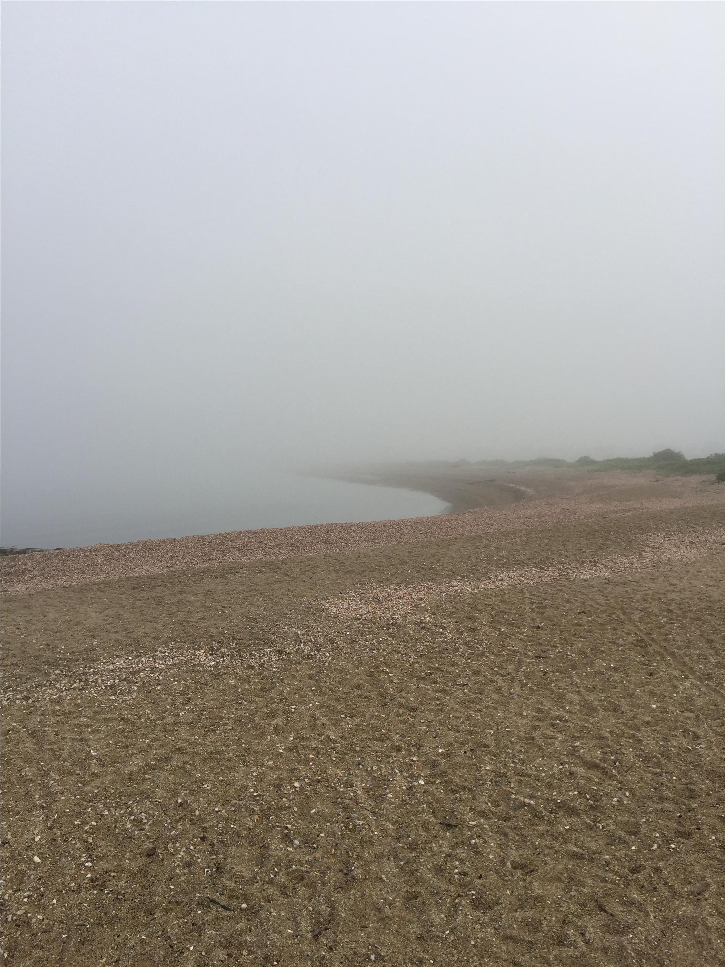 Bluff Point State Park