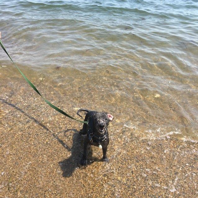 Compass Rose Beach