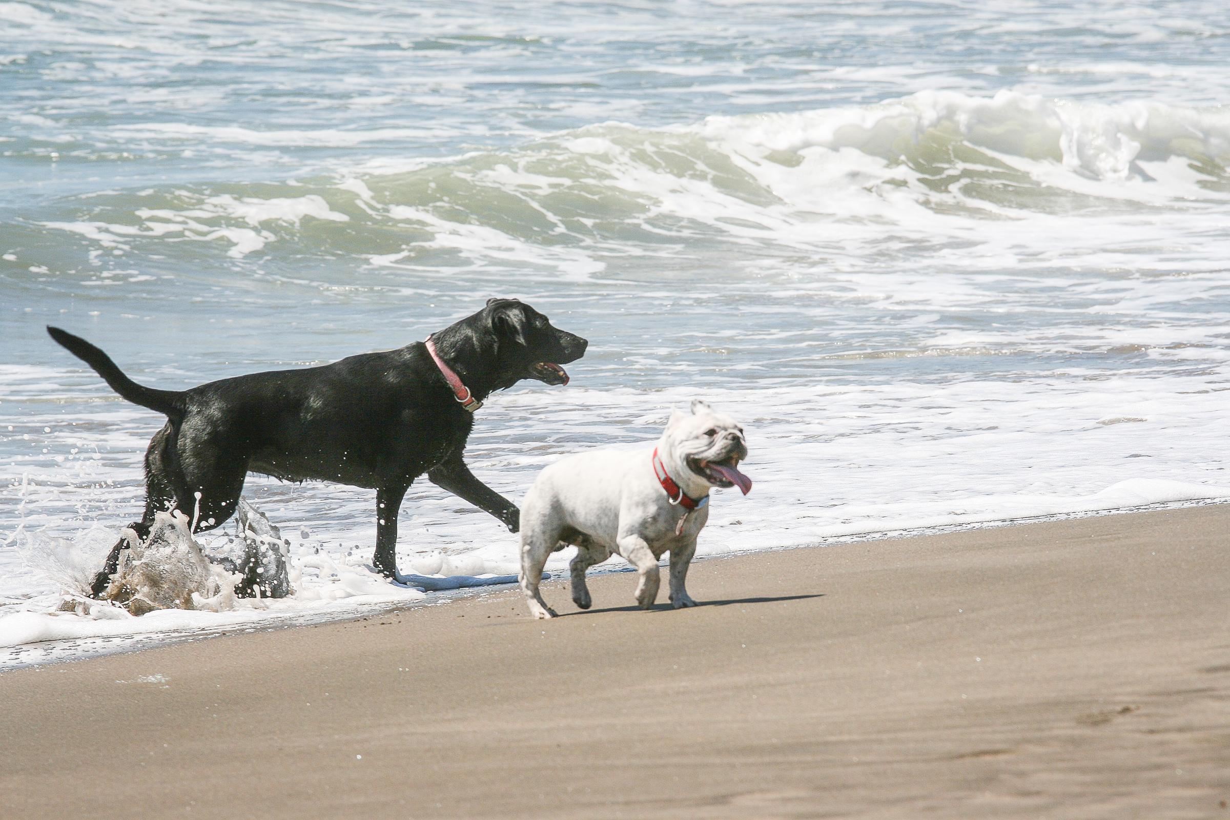 Fort Funston