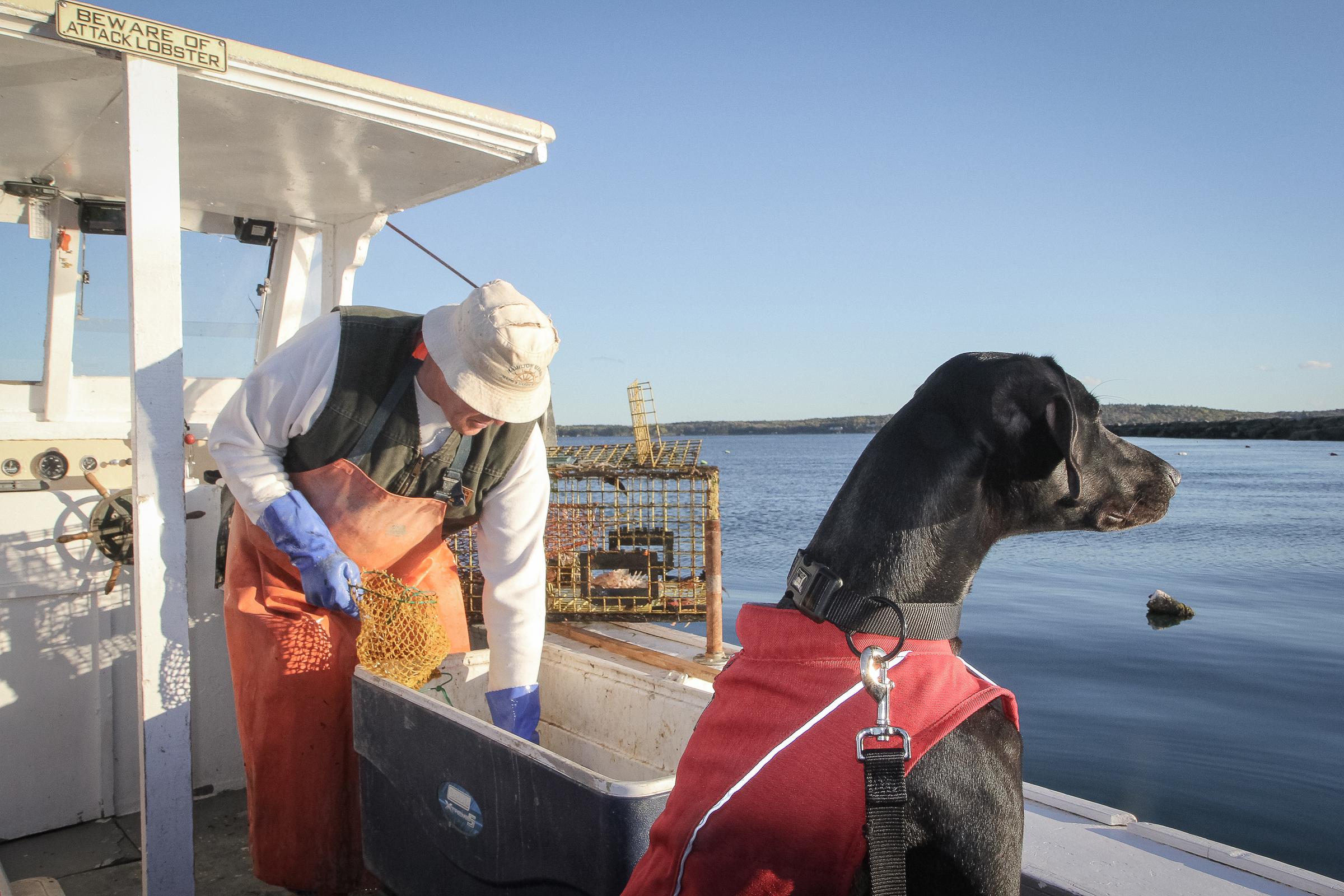 Captain Jack Lobster Boat Adventure