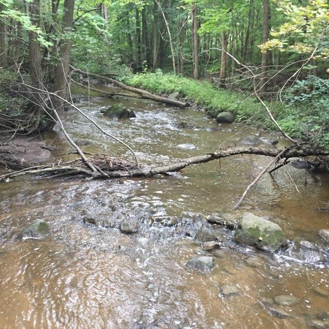 Stigler Nature Preserve