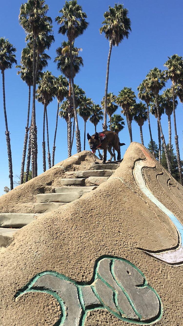 Fido At The Park ⋆ BringFido