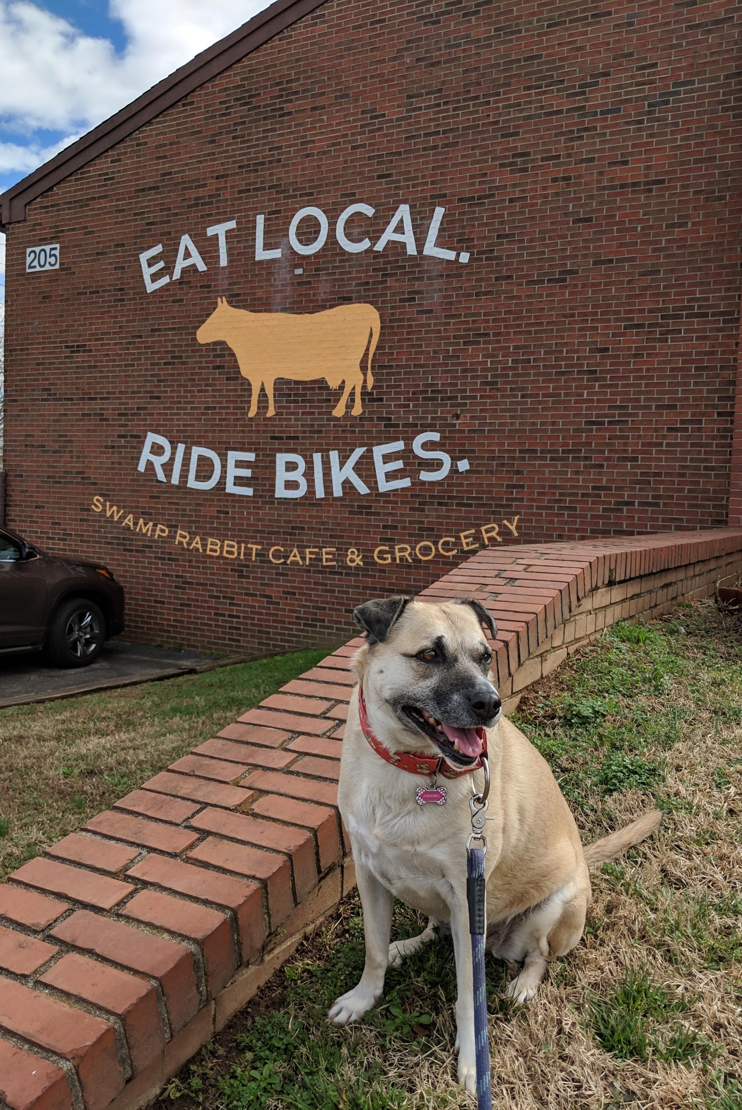 Swamp Rabbit Trail