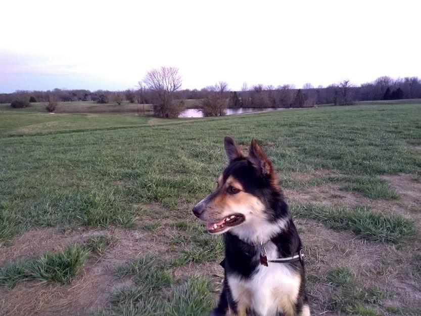 The Outback at Shelby Farms Park