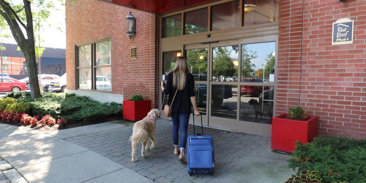 Red Roof Inn Pet Policy - Bring Fido
