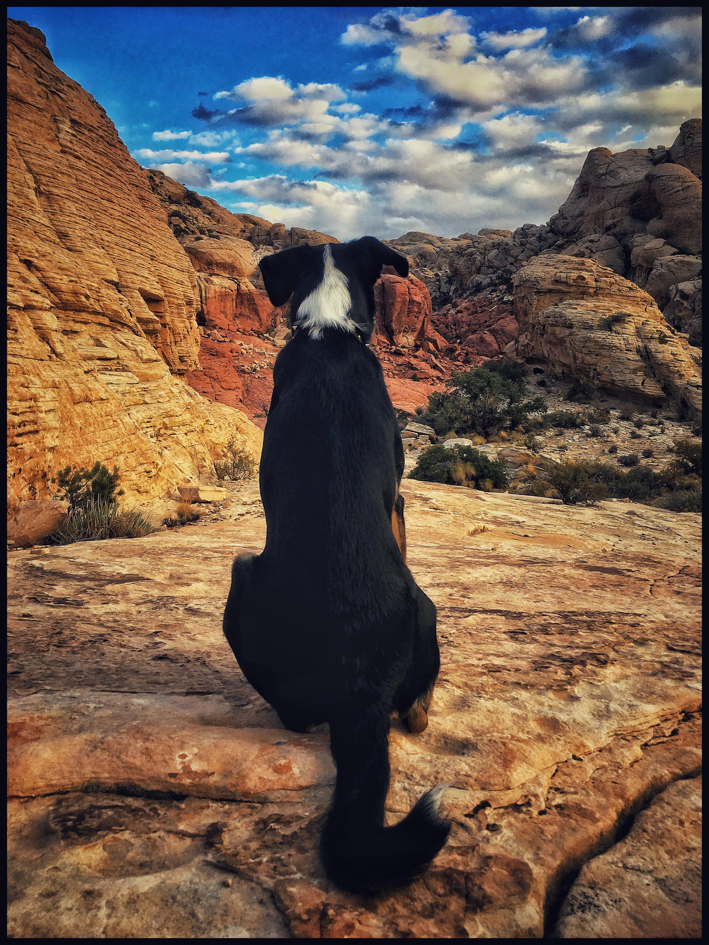 Red Rock Canyon National Conservation Area