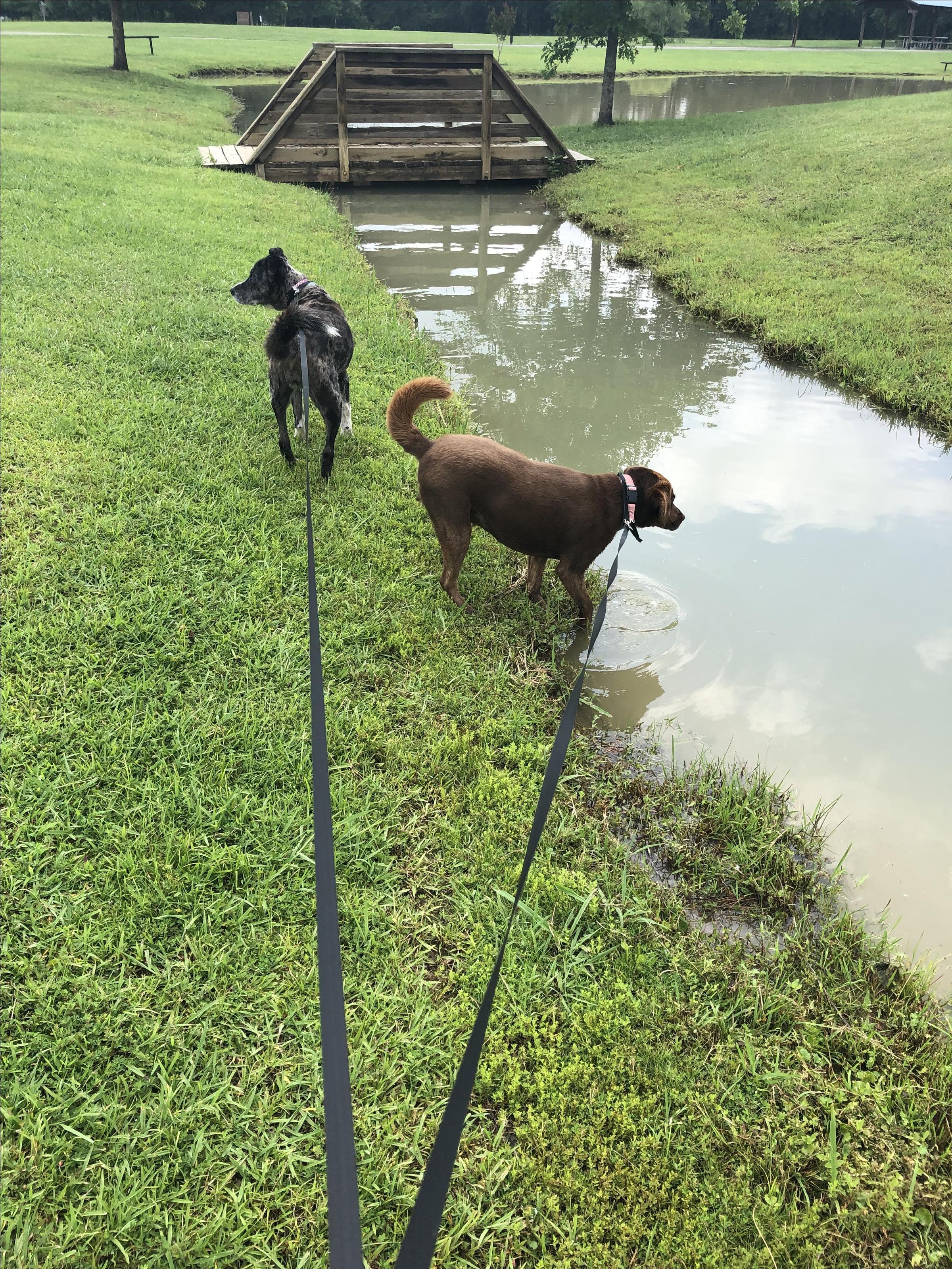 Dog Friendly Alabaster, AL - BringFido