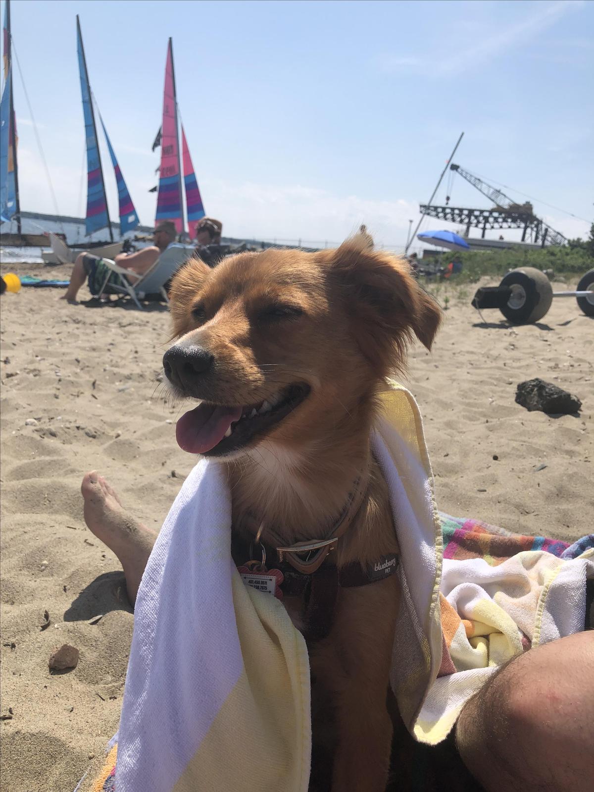 Compass Rose Beach