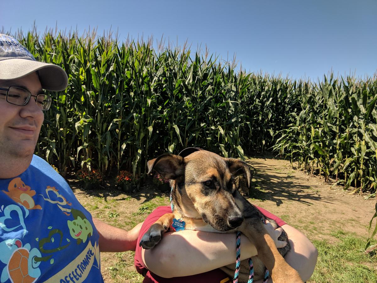 dog friendly corn mazes