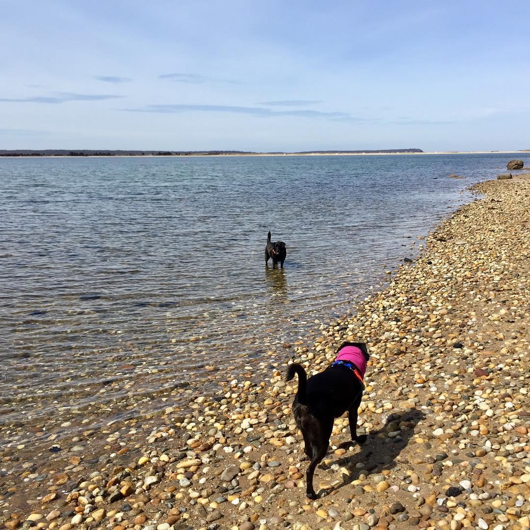 Cedar Point County Park
