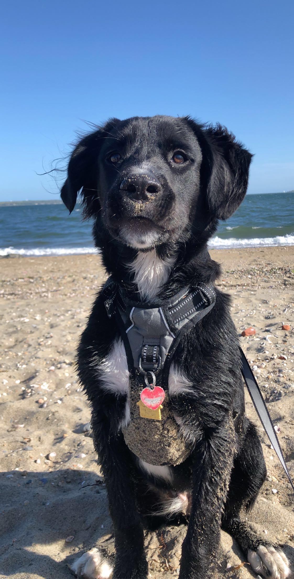 Compass Rose Beach