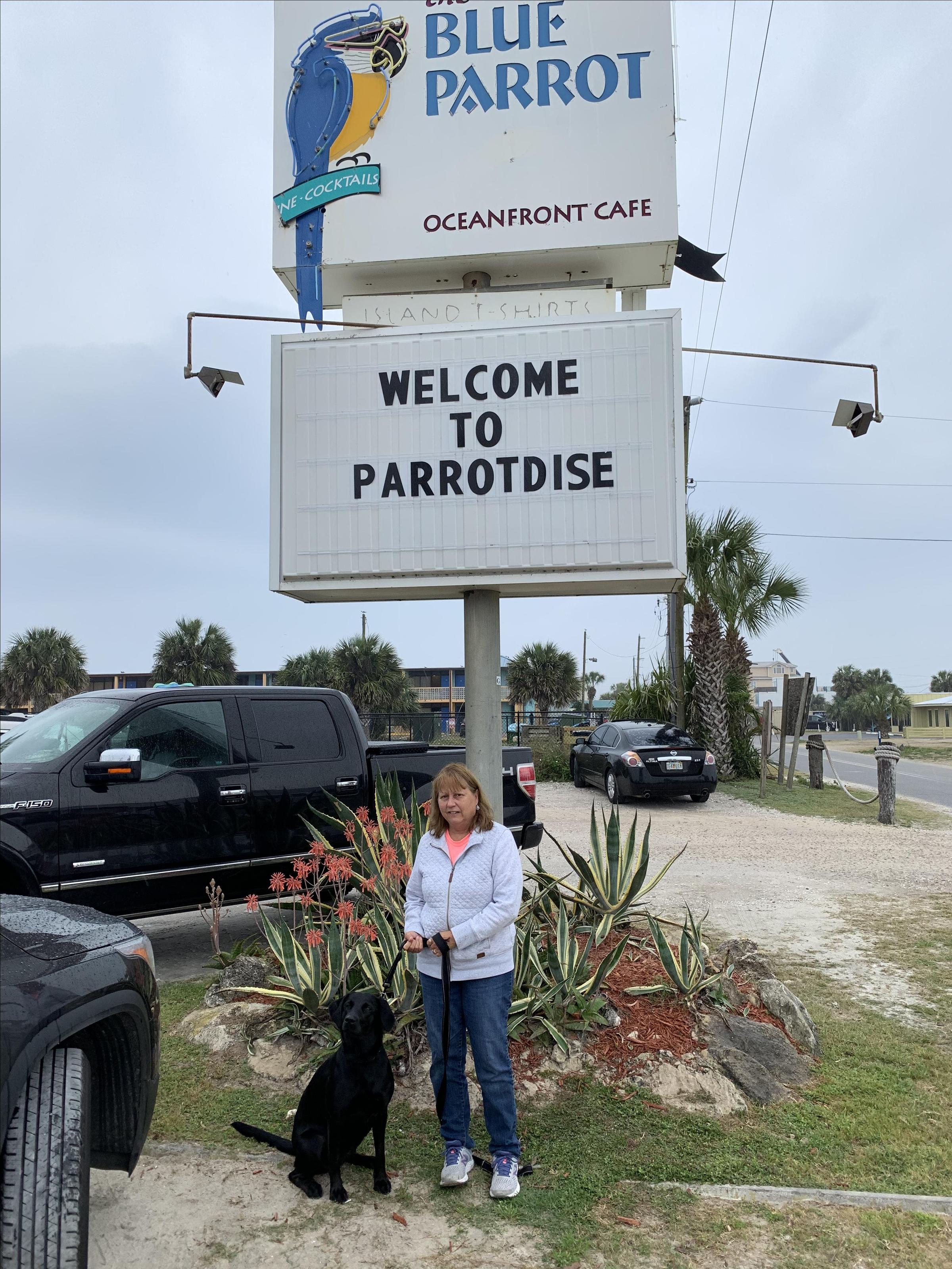 blue parrot st george island