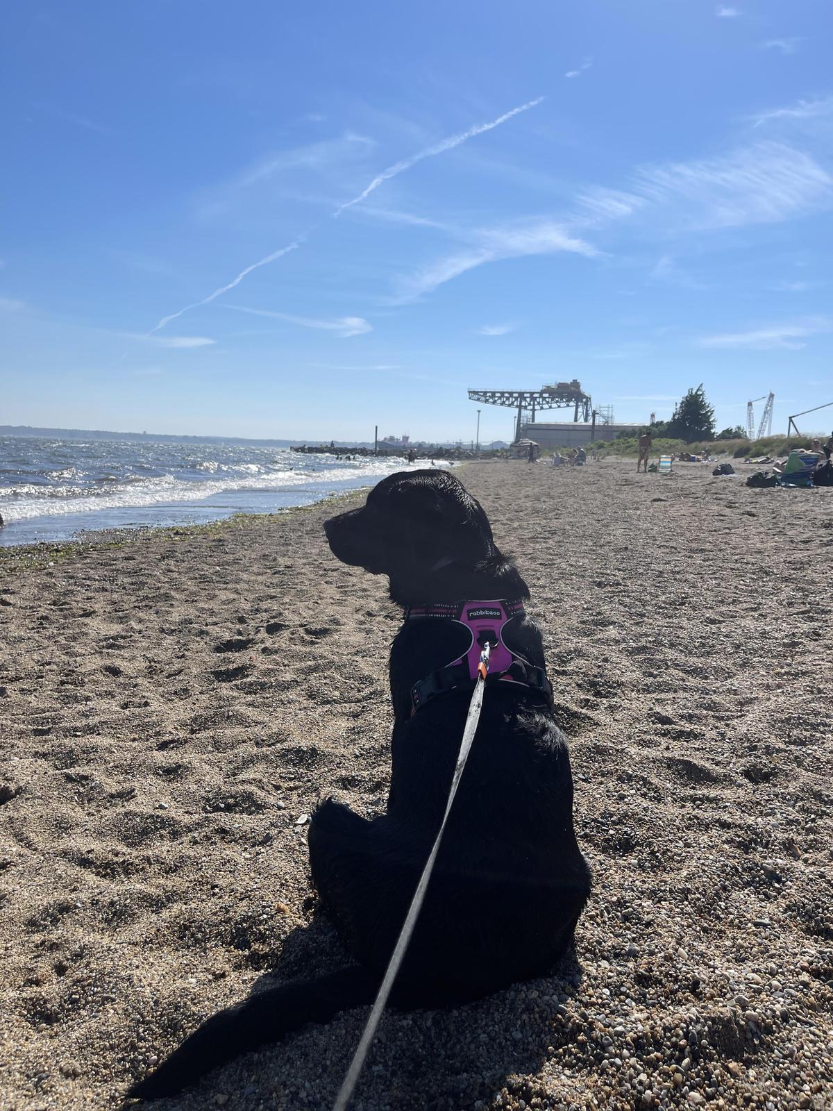 Compass Rose Beach