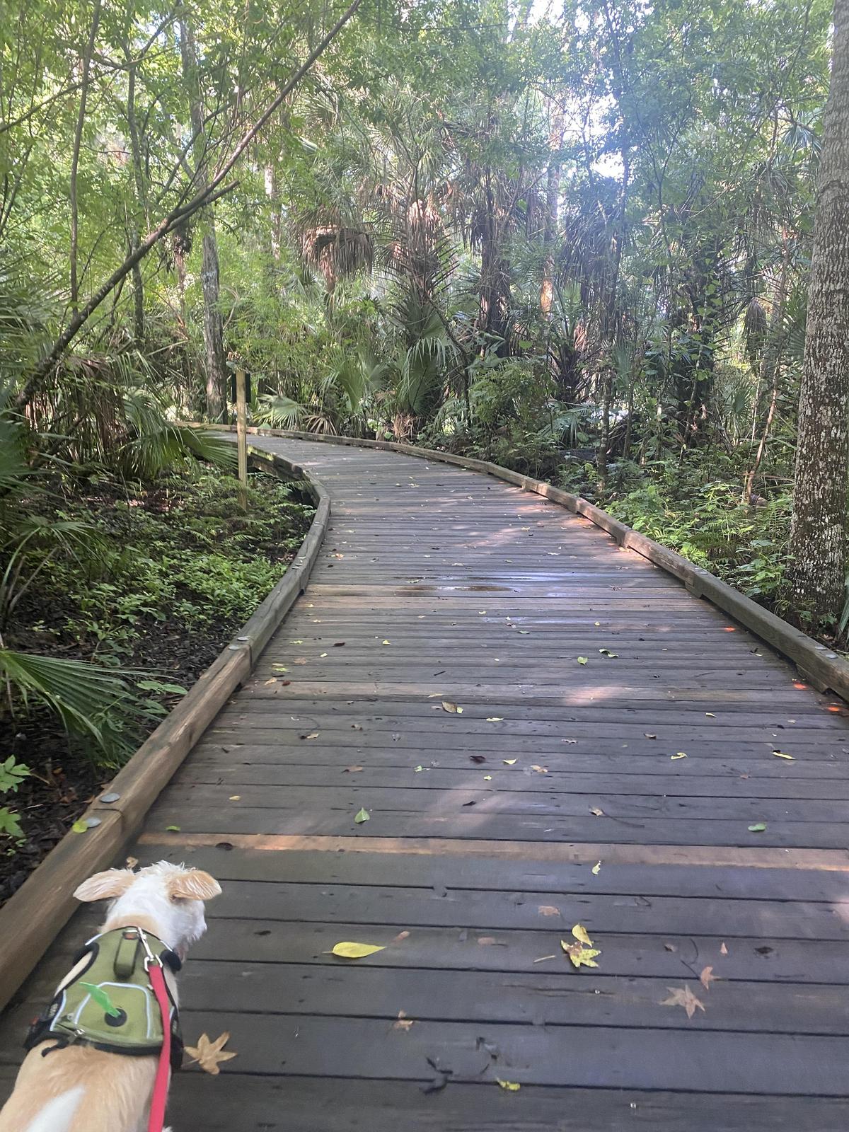 does ormond beach have a boardwalk