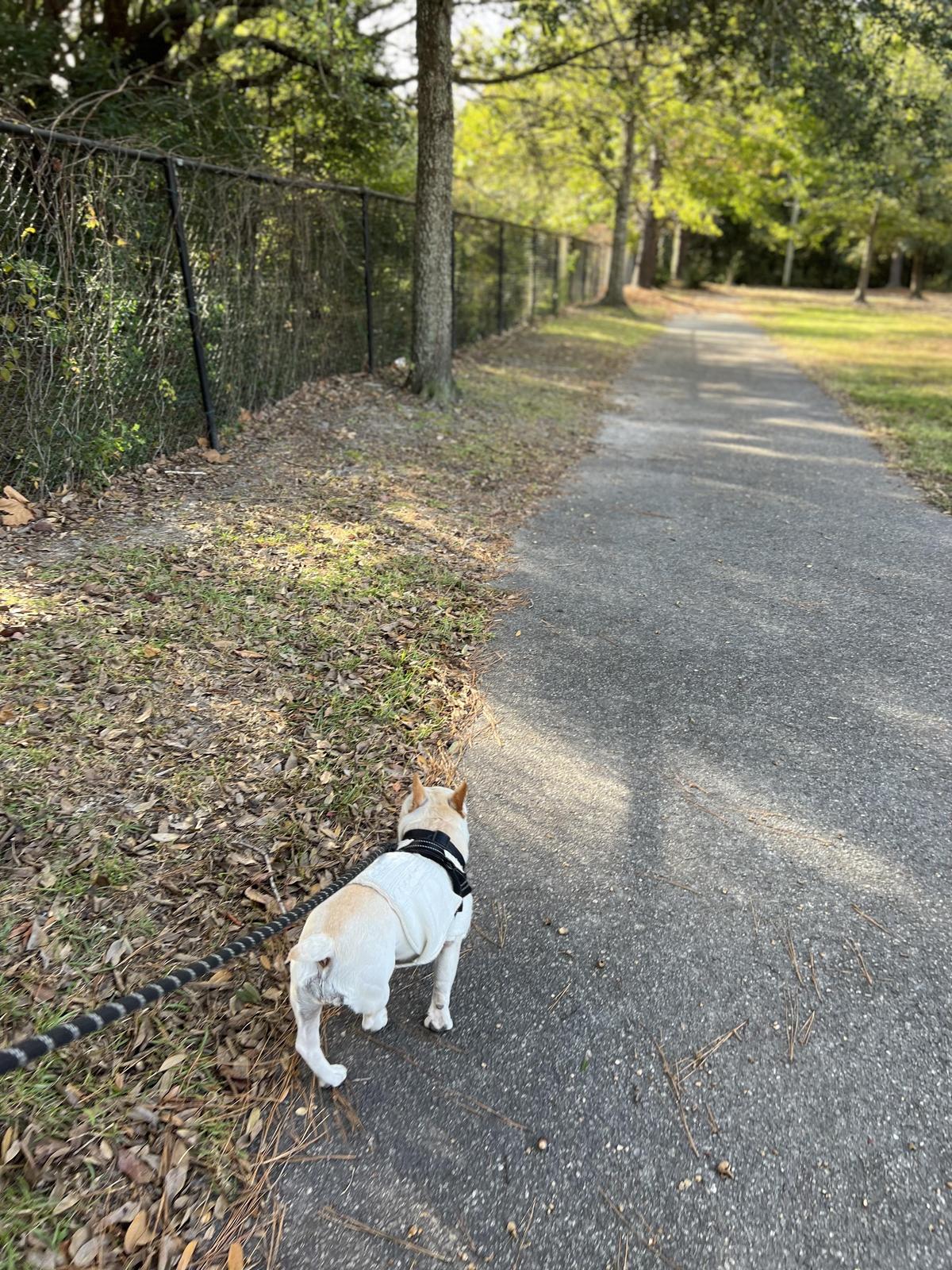 Mother Matilda Beasley Dog Park