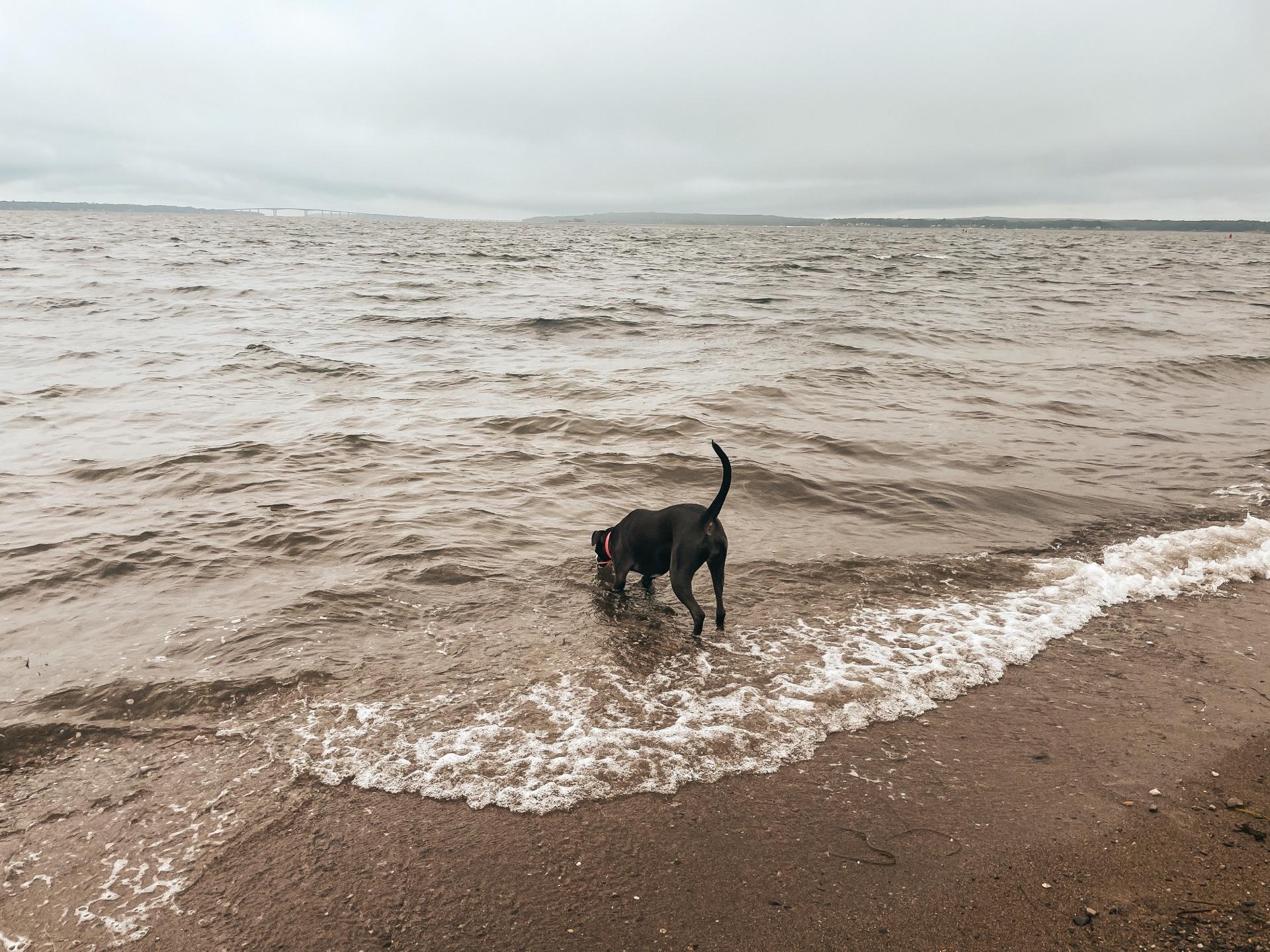 Compass Rose Beach